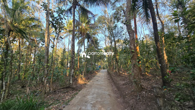 7.5 Acre Land for Sale – Perikkalloor, Wayanad,Kerala.