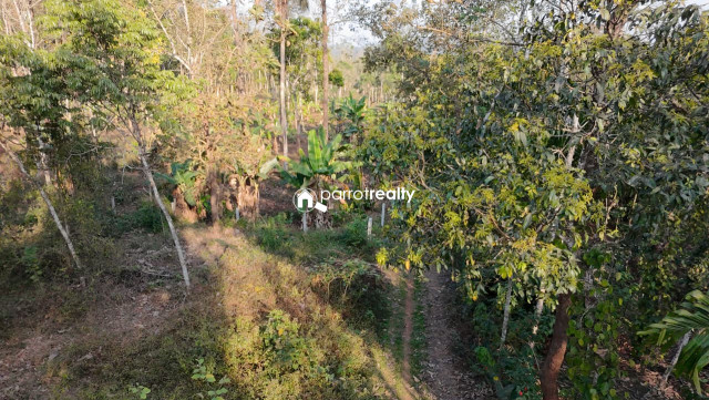 7.5 Acre Land for Sale – Perikkalloor, Wayanad,Kerala.